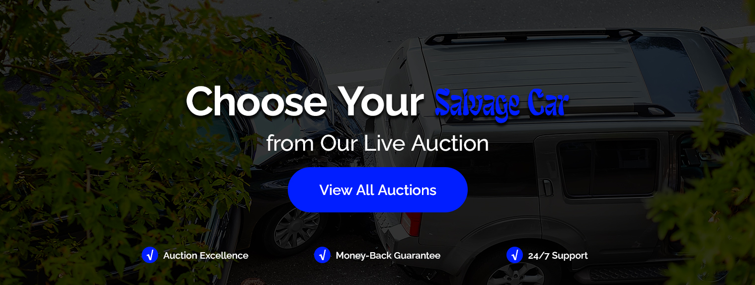 Welcome To indus Auto